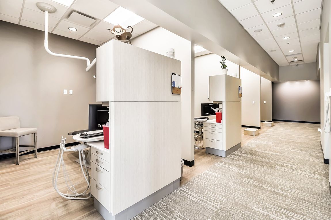 General Dentist Denver, CO | Safari Smiles - Kids Dental Denver