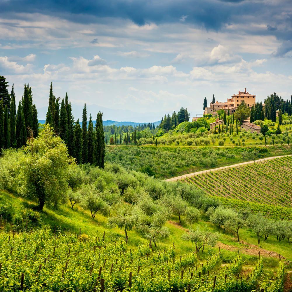Florence & Tuscany - Wine Travel Guide 2025 - Discover Tuscan wines