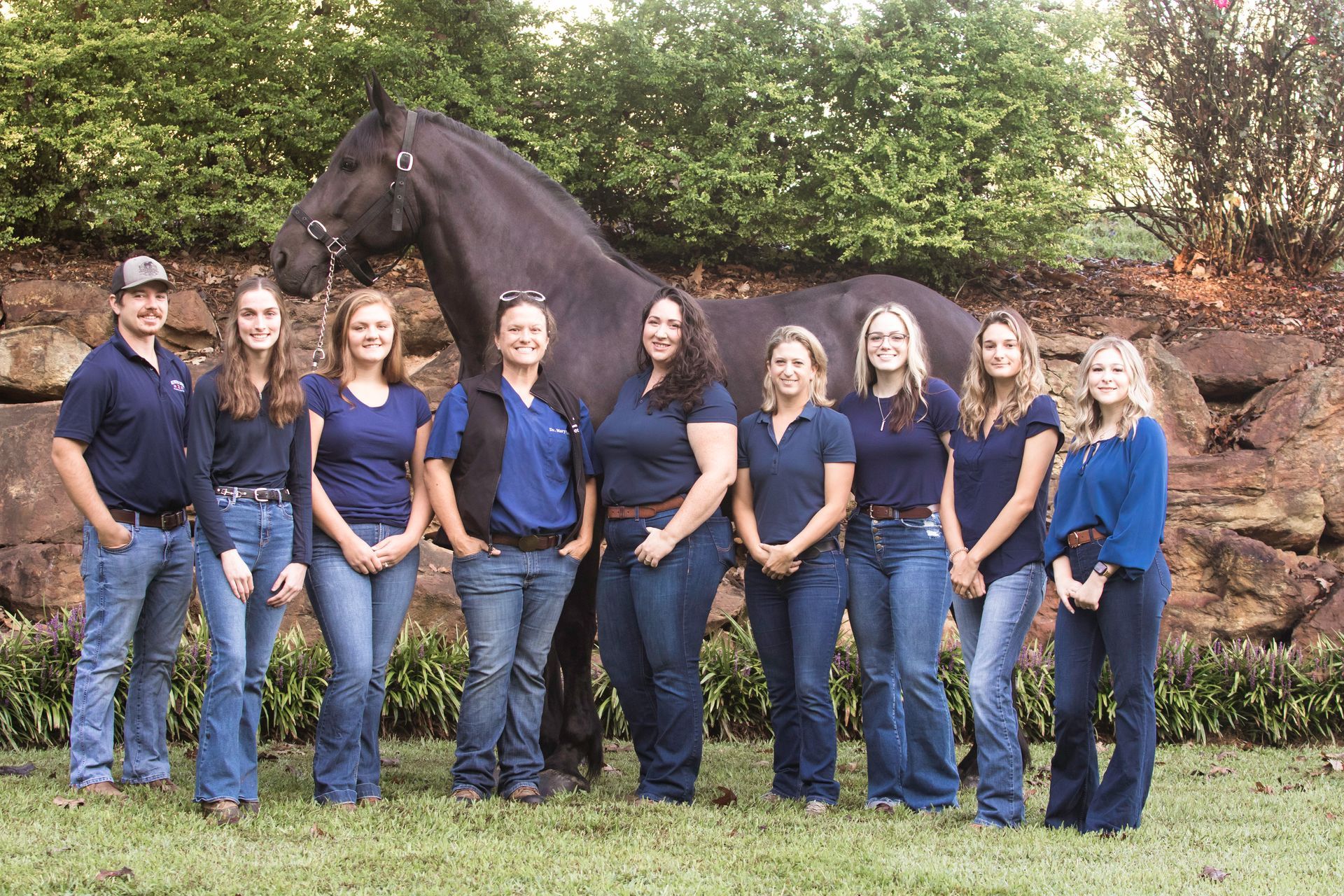 Tryon Equine Mobile - Equine Vet | Charlotte, NC