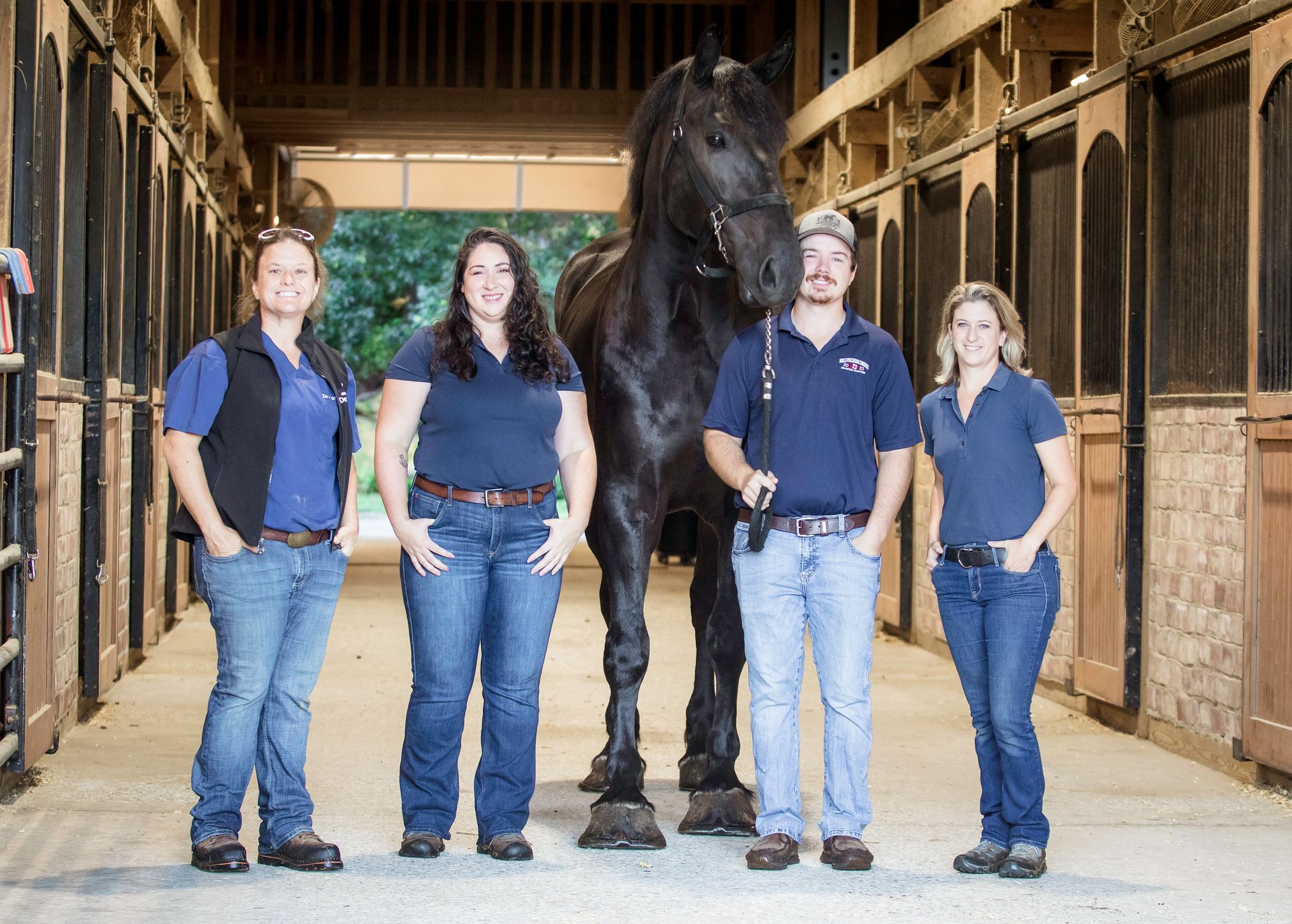 Tryon Equine Mobile - Equine Vet | Charlotte, NC