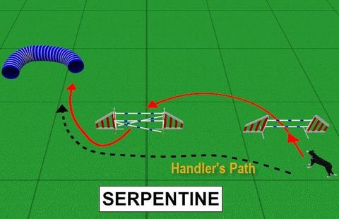 Serpentine in dog agility