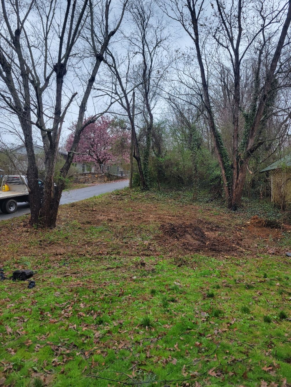 Asheville Tree Service | Tree Removal | AVL Tree Men