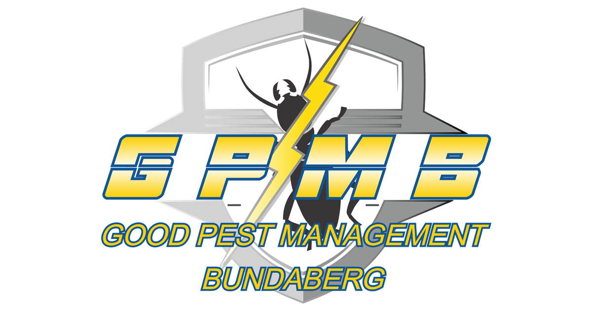 Pest Control | Avoca, QLD | Good Pest Management Bundaberg