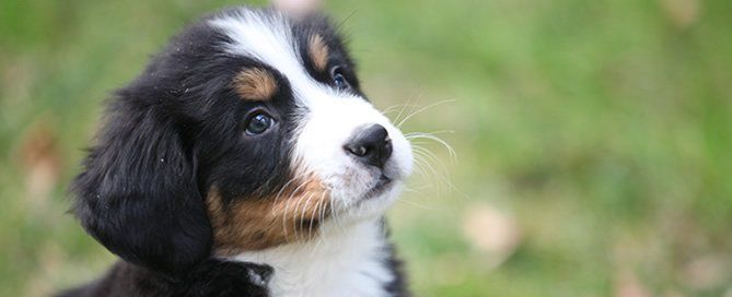 Products with Fuzzy Edges