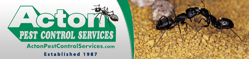 Acton Pest Control Services - Top Rated Pest Control - Acton & Concord ...