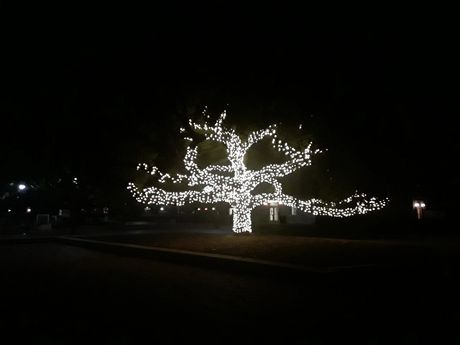 Professional Lighting Services | Woodway, TX | Tex Lighting