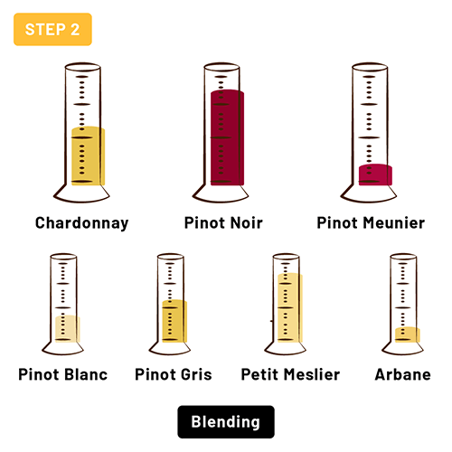 Champagne | The In-Depth Guide