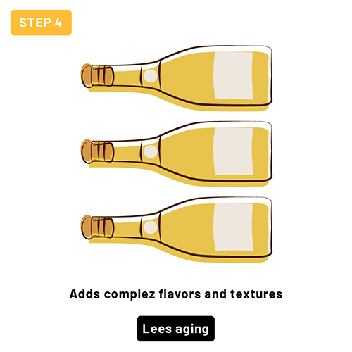 Champagne | The In-Depth Guide