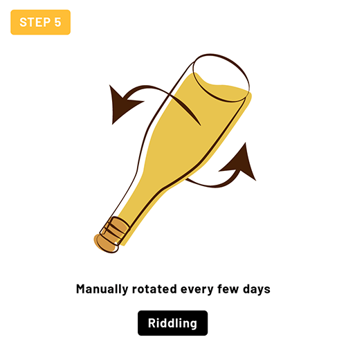 Champagne | The In-Depth Guide