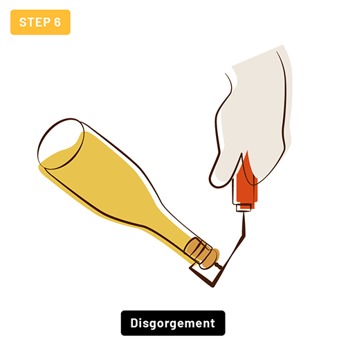 Champagne | The In-Depth Guide