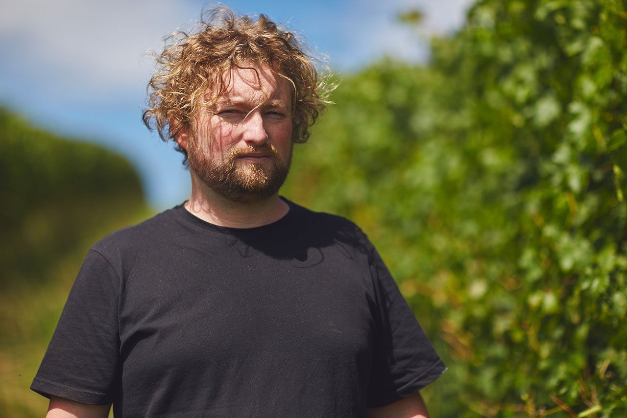 Patrick Sullivan | Wine Producer | Vino Al Vino