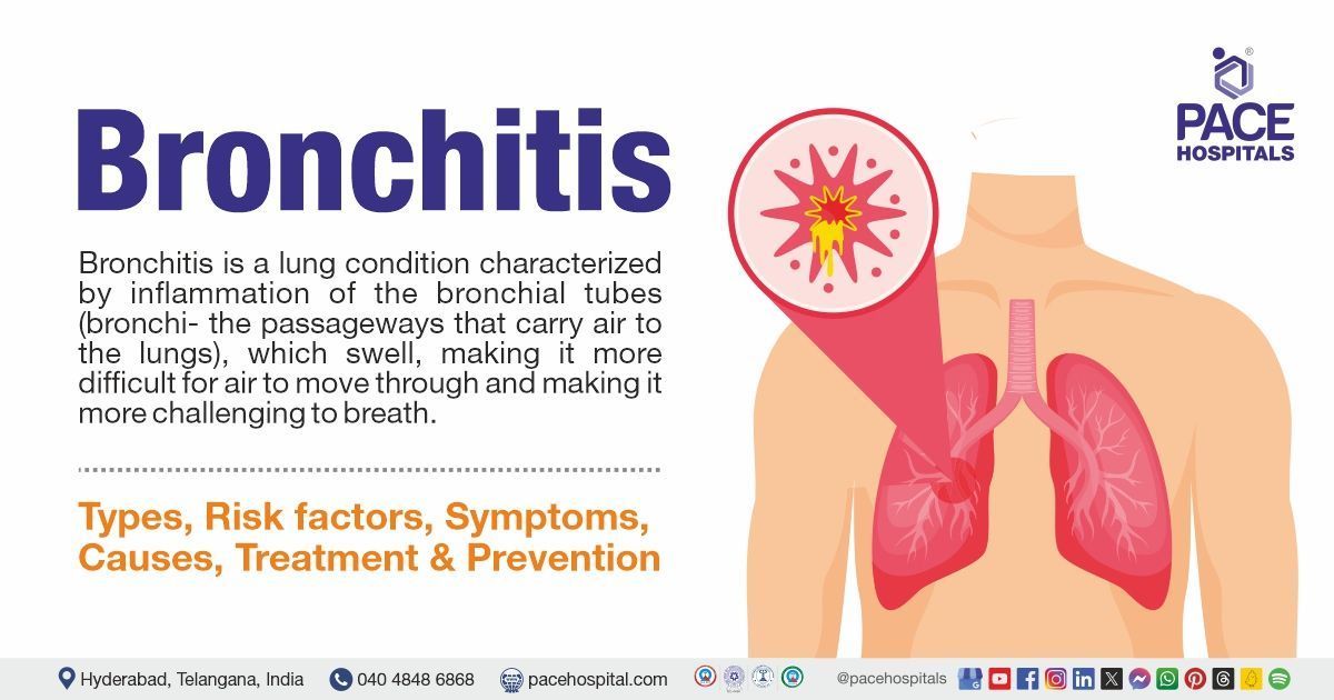 Bronchi Definition Bronchi Definition