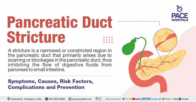 pancreatic ducts function