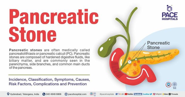 pancreatic ducts function