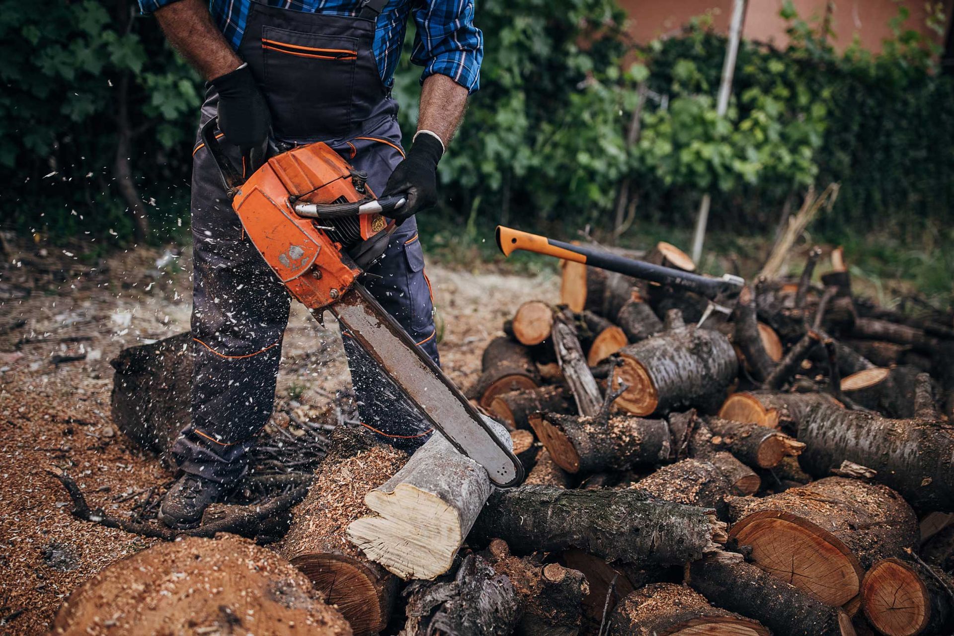 Expert Tree Services | Birmingham, AL | Easy Tree Service