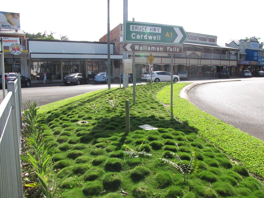 Local Lawn Care & Turf Variety Specialists | Cairns, QLD