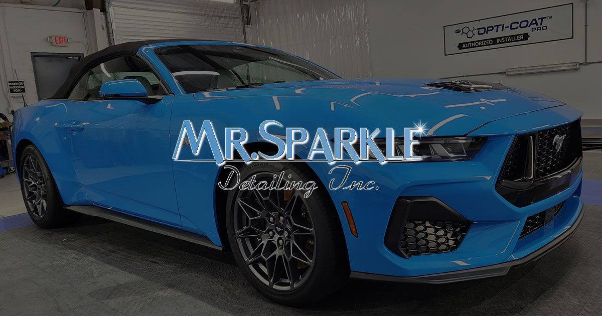 PPF Ormond Beach, FL | Mr. Sparkle Detailing