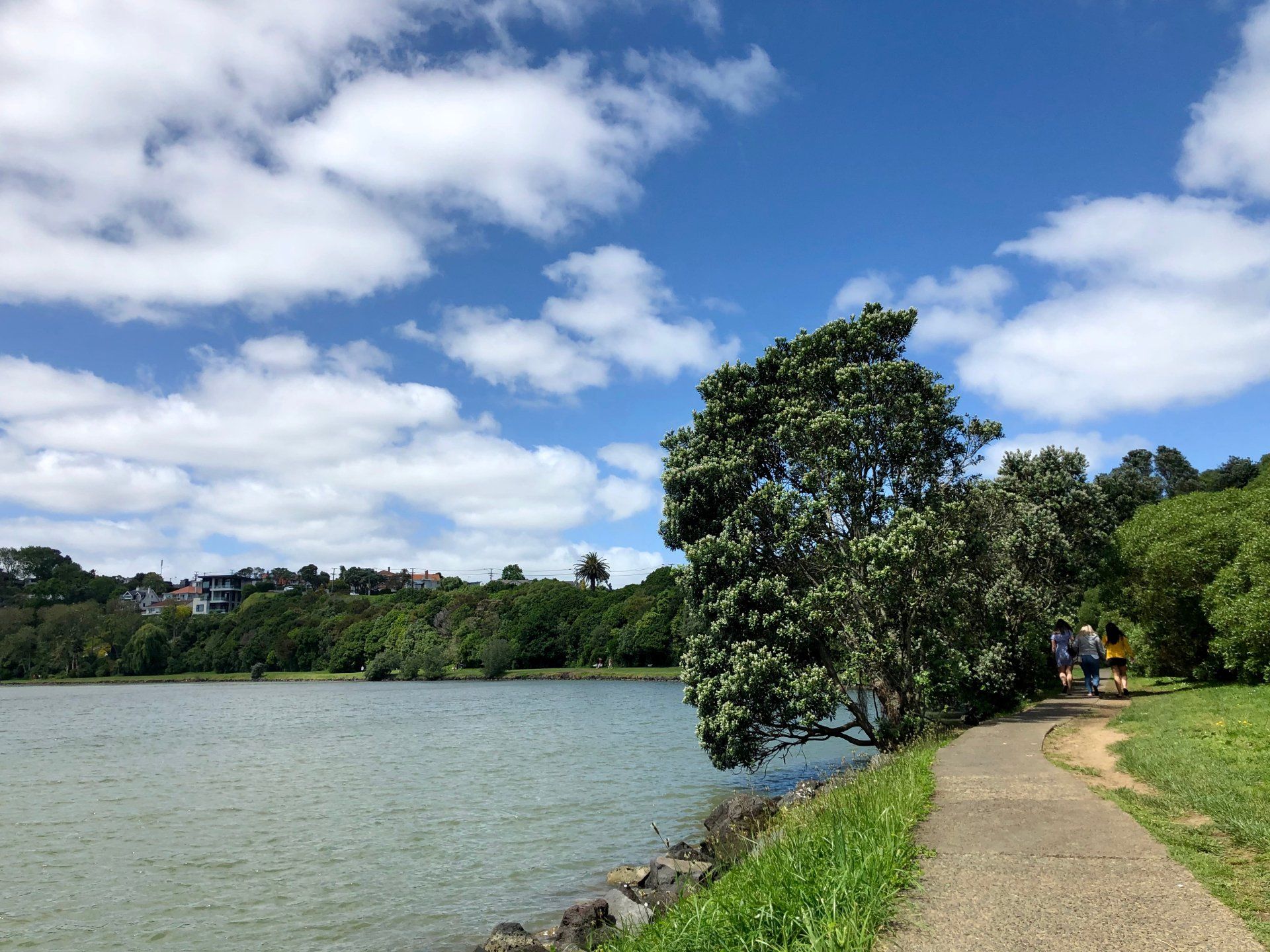 Contact Auckland Lawyer