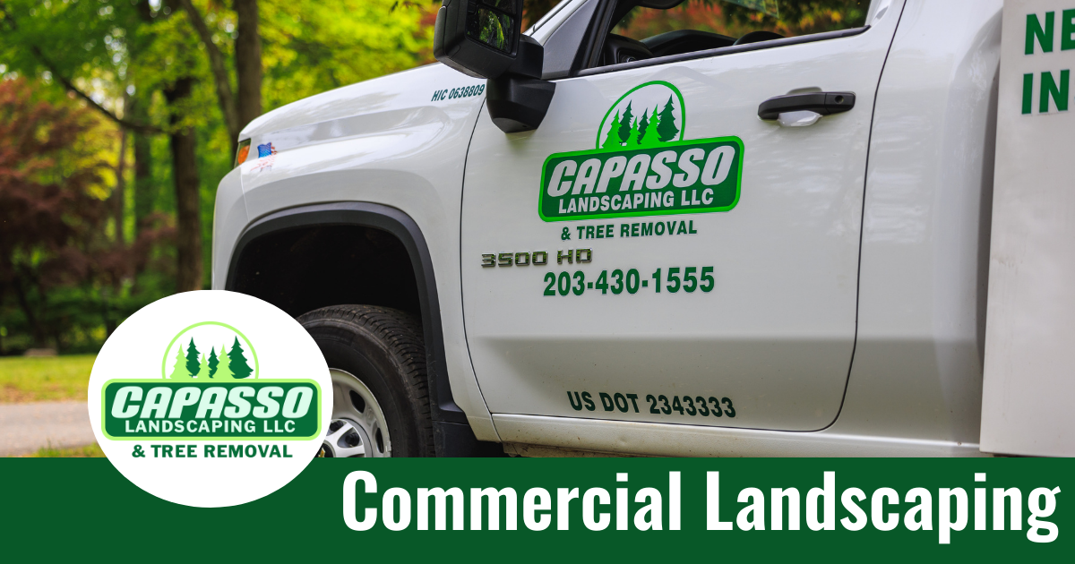Commercial Landscaping Work | Serving New Haven County