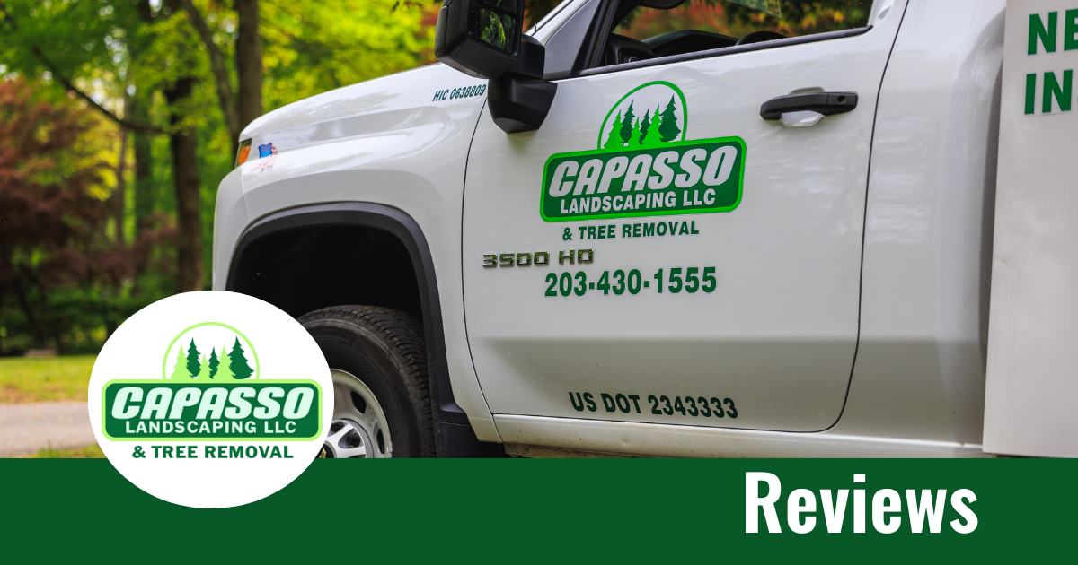 Online Reviews & Testimonials | Capasso Landscaping