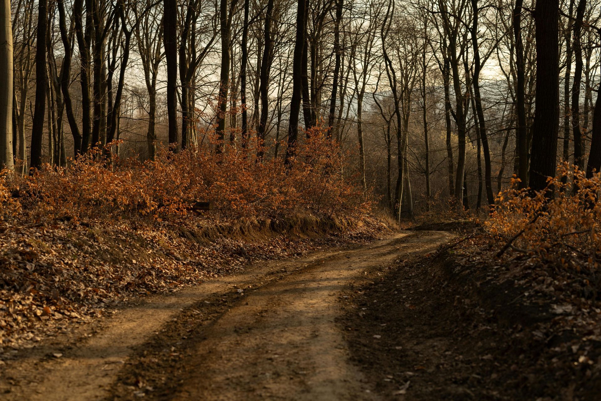 Winter Vehicle Preparation in Kenvil, NJ at Automotive Magic