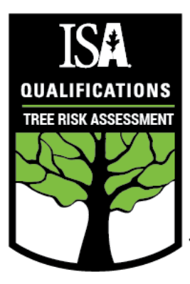 Tree Service | Cincinnati, OH | Dave Stang's Certified Tree Care