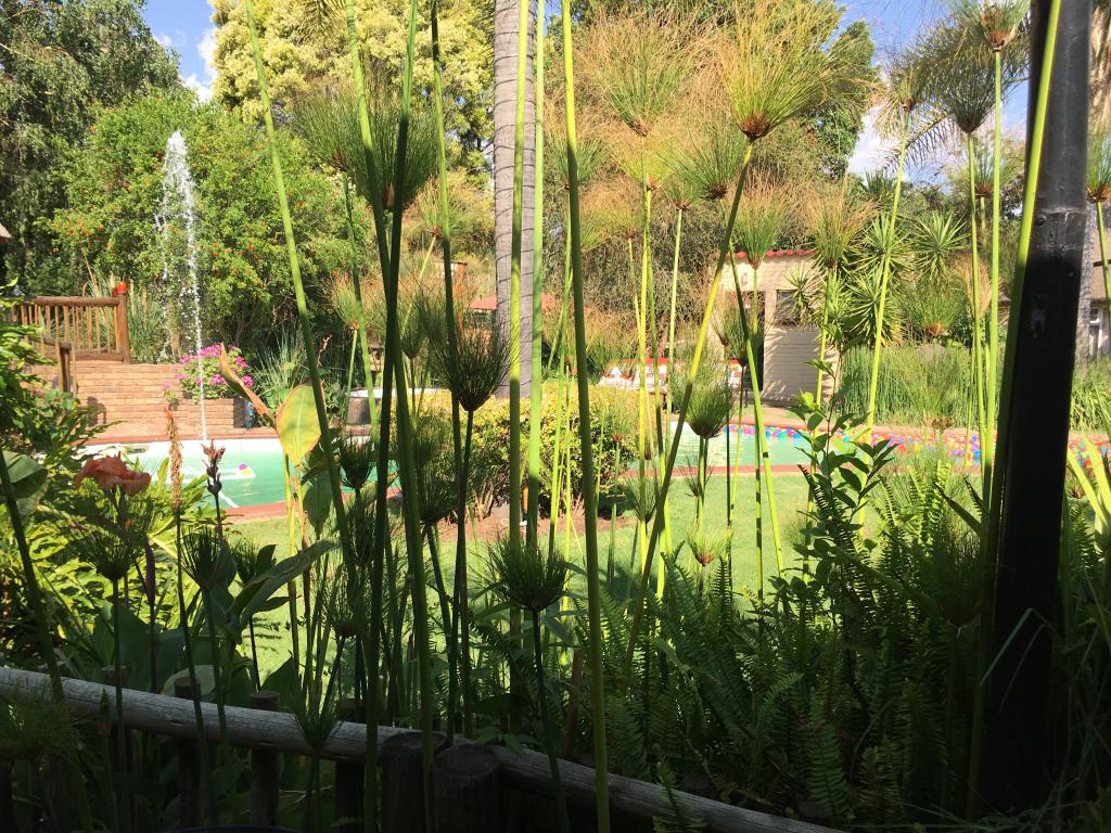 Contact | Umthombo Guesthouse