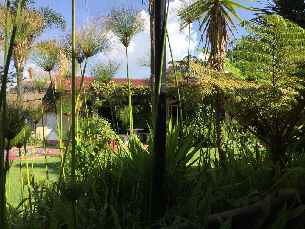 Contact | Umthombo Guesthouse