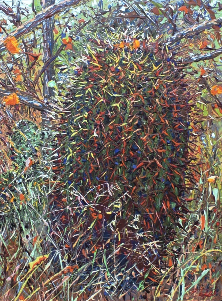 David Foley | United States | (505) 438-2958