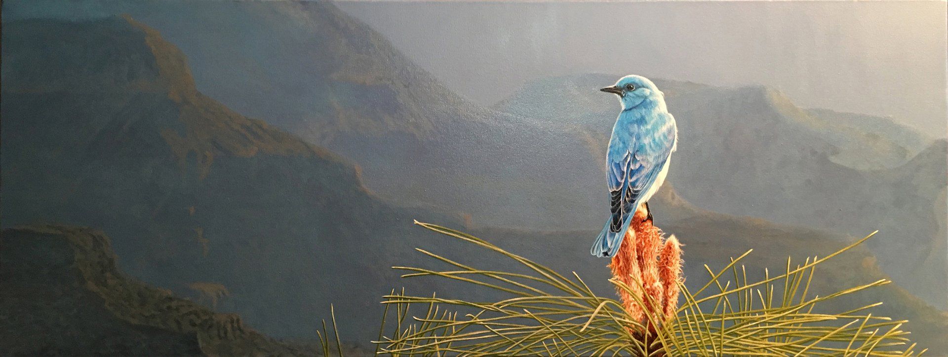 Camille Engel | United States | (505) 438-2958