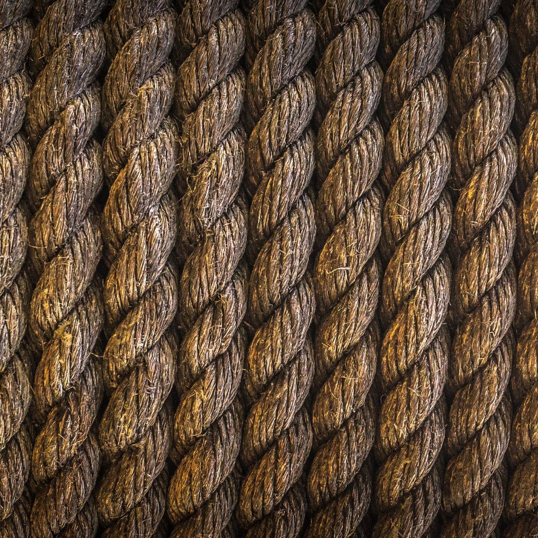 #25 Knot Knowledge