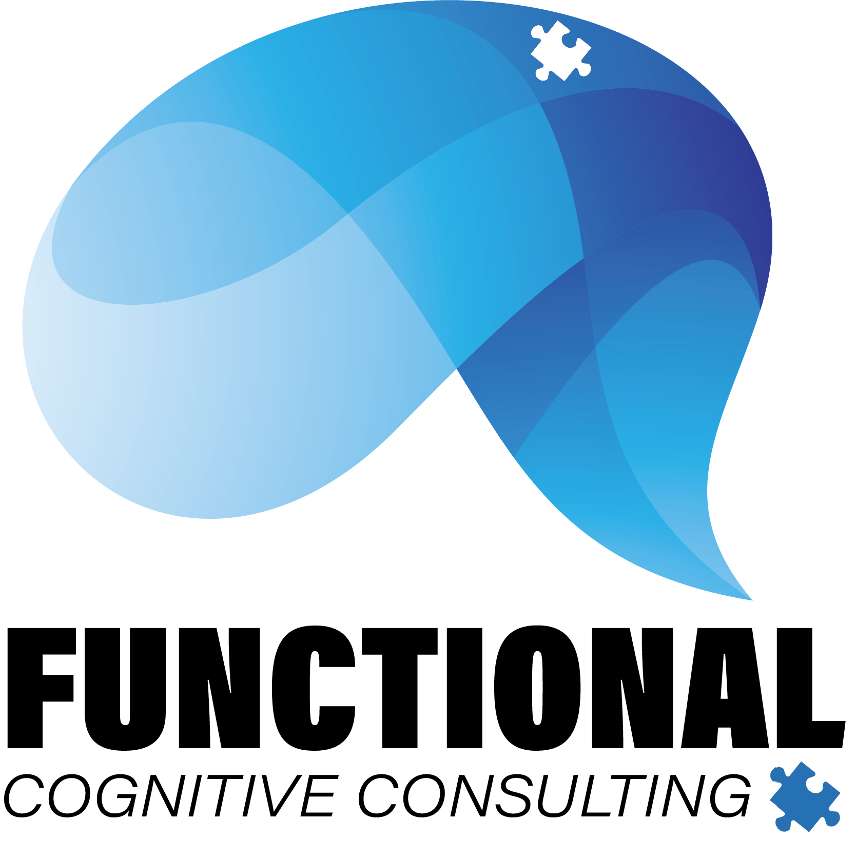 Functional Cognitive Consulting | Home