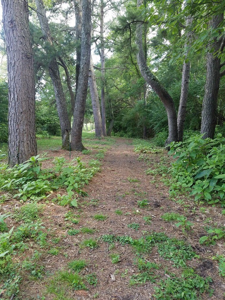 Home [www.mercycenterstl.org]