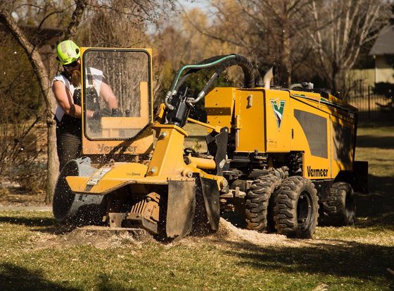 Tree Trimming, Removal, Snow Removal | Boise, ID | Done Rite Tree Company
