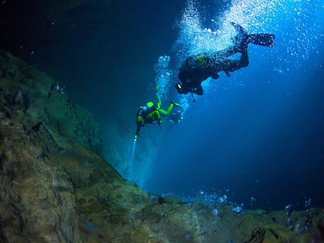 West End Diving : Professional Diving Center Since 1960