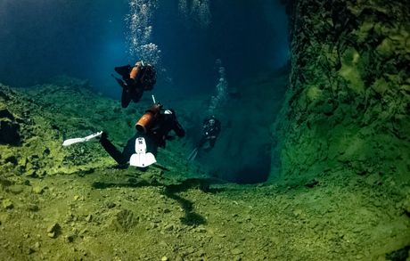 West End Diving : Professional Diving Center Since 1960