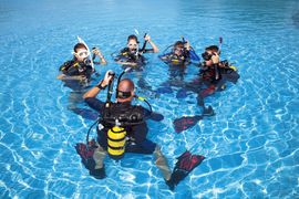 West End Diving : Professional Diving Center Since 1960