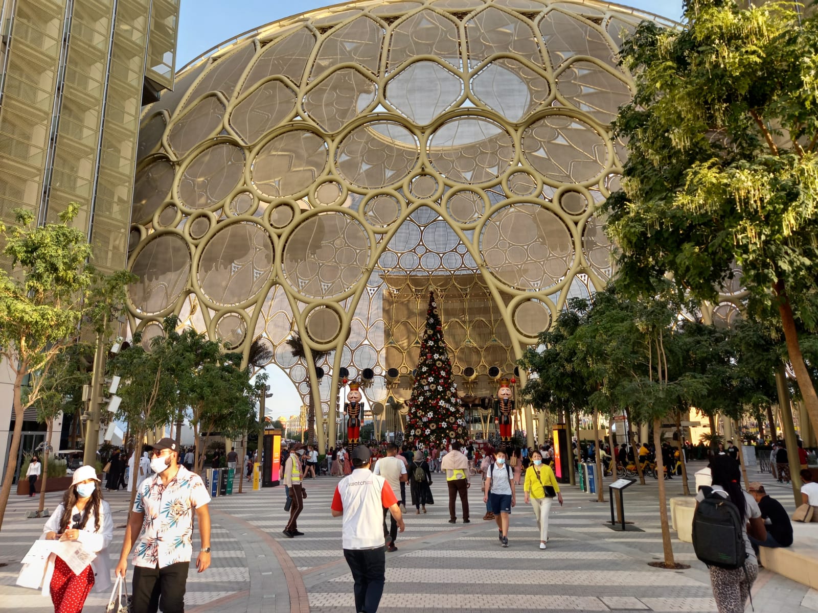 Crawford International School Secures 15 Slots At The Tournament Of ...