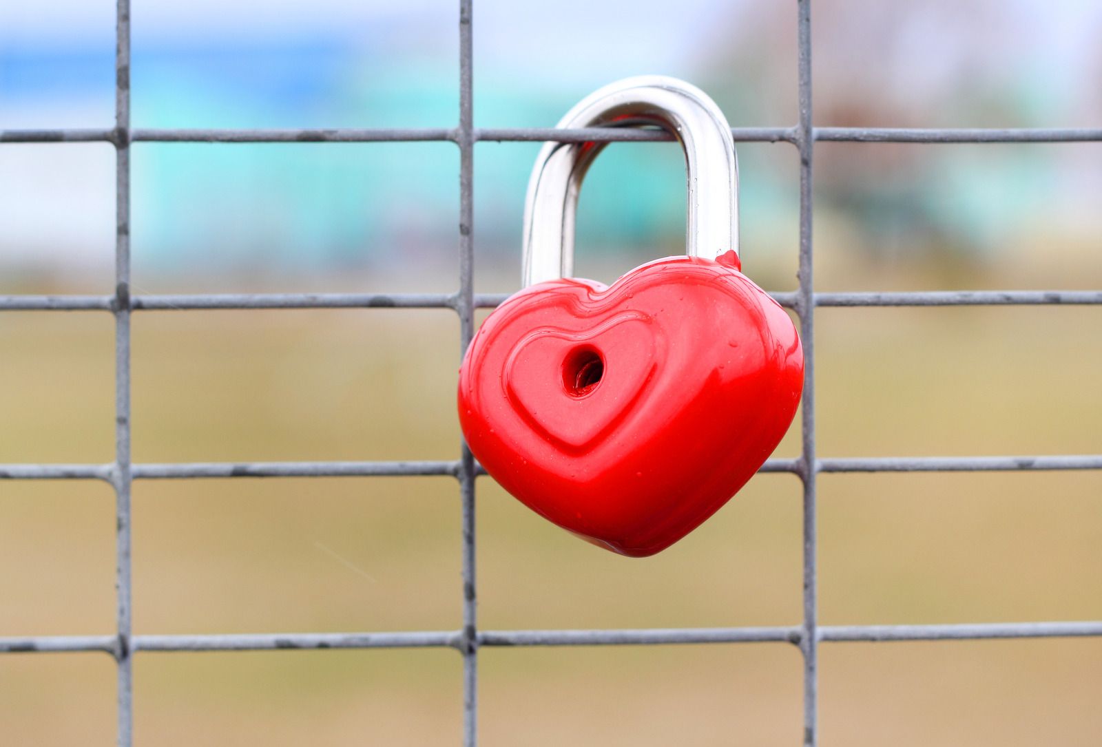 HISTORY OF LOVE LOCKS