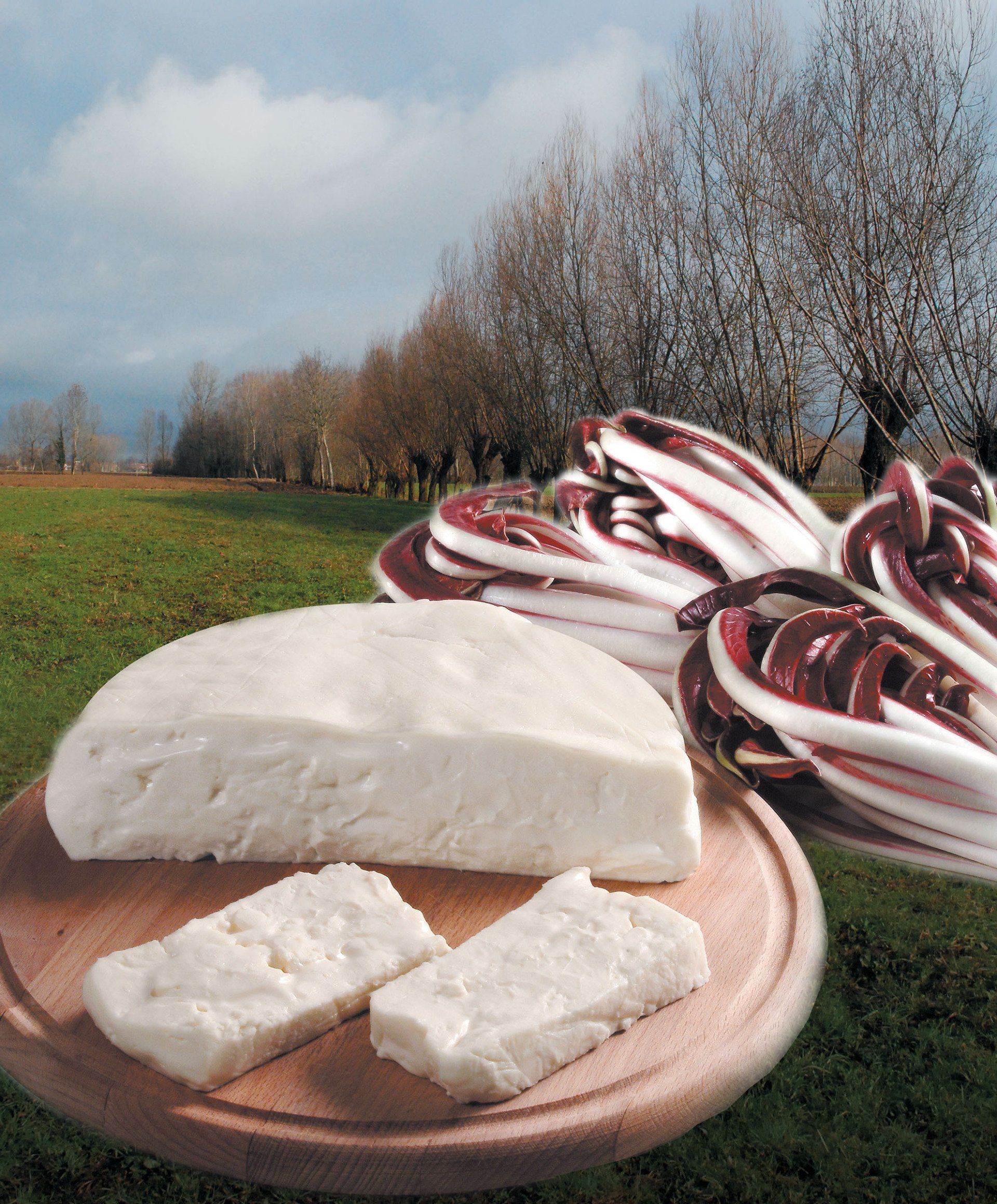 Formaggio tradizionale | Paese, TV | Consorzio Casatella