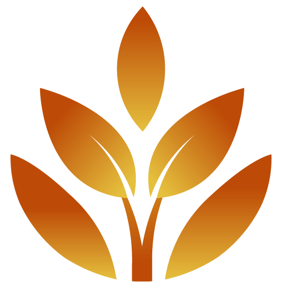 VAST - Blueprint for Success