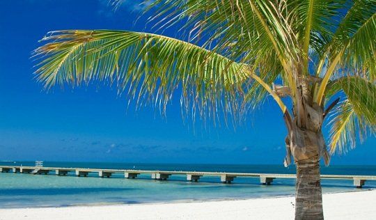 Miami HRT - Testosterone, HGH, Hormone Therapy in Miami, Florida | Anti ...