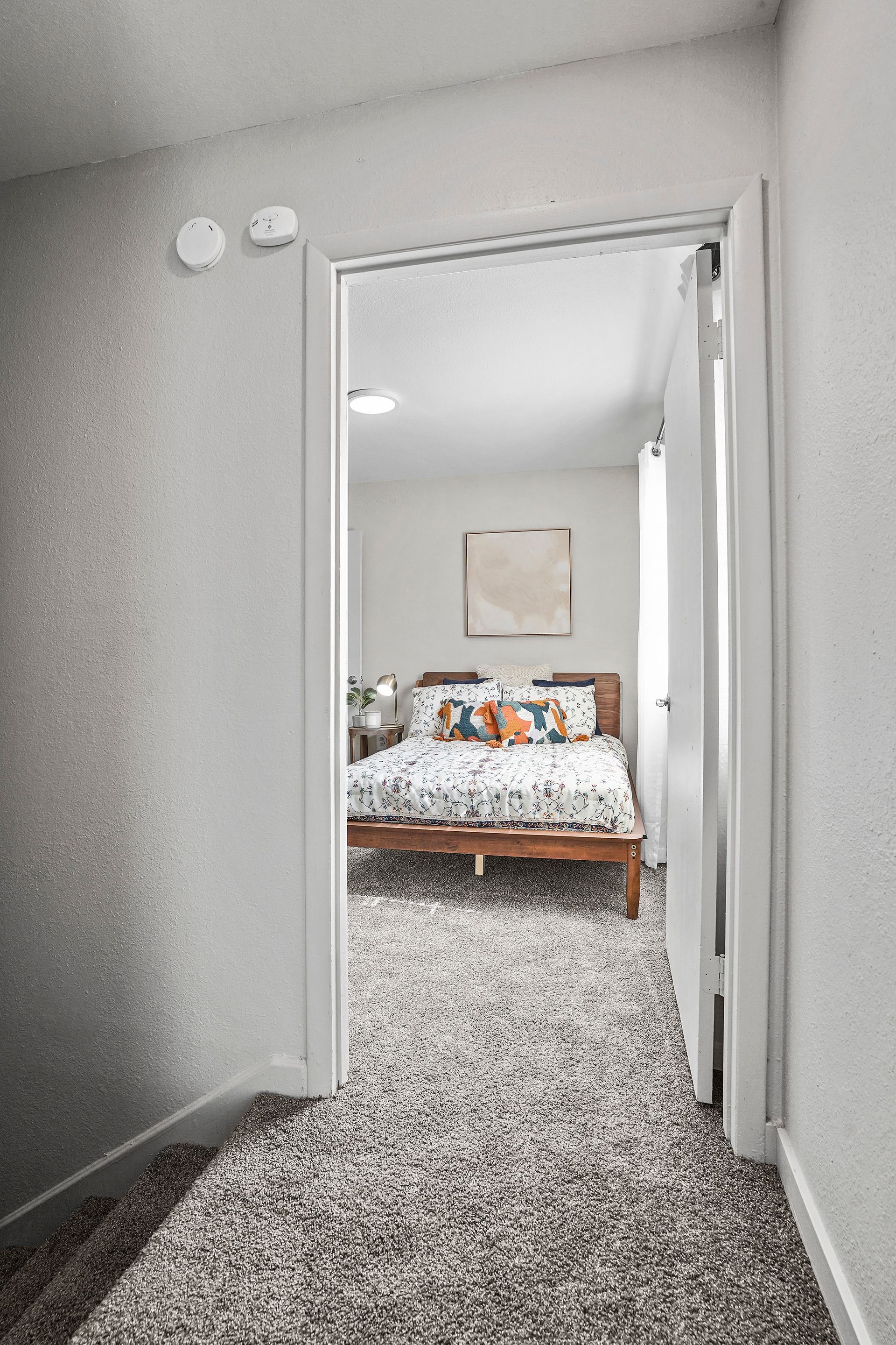 Discover Regency Point Apartments: Features & Amenities