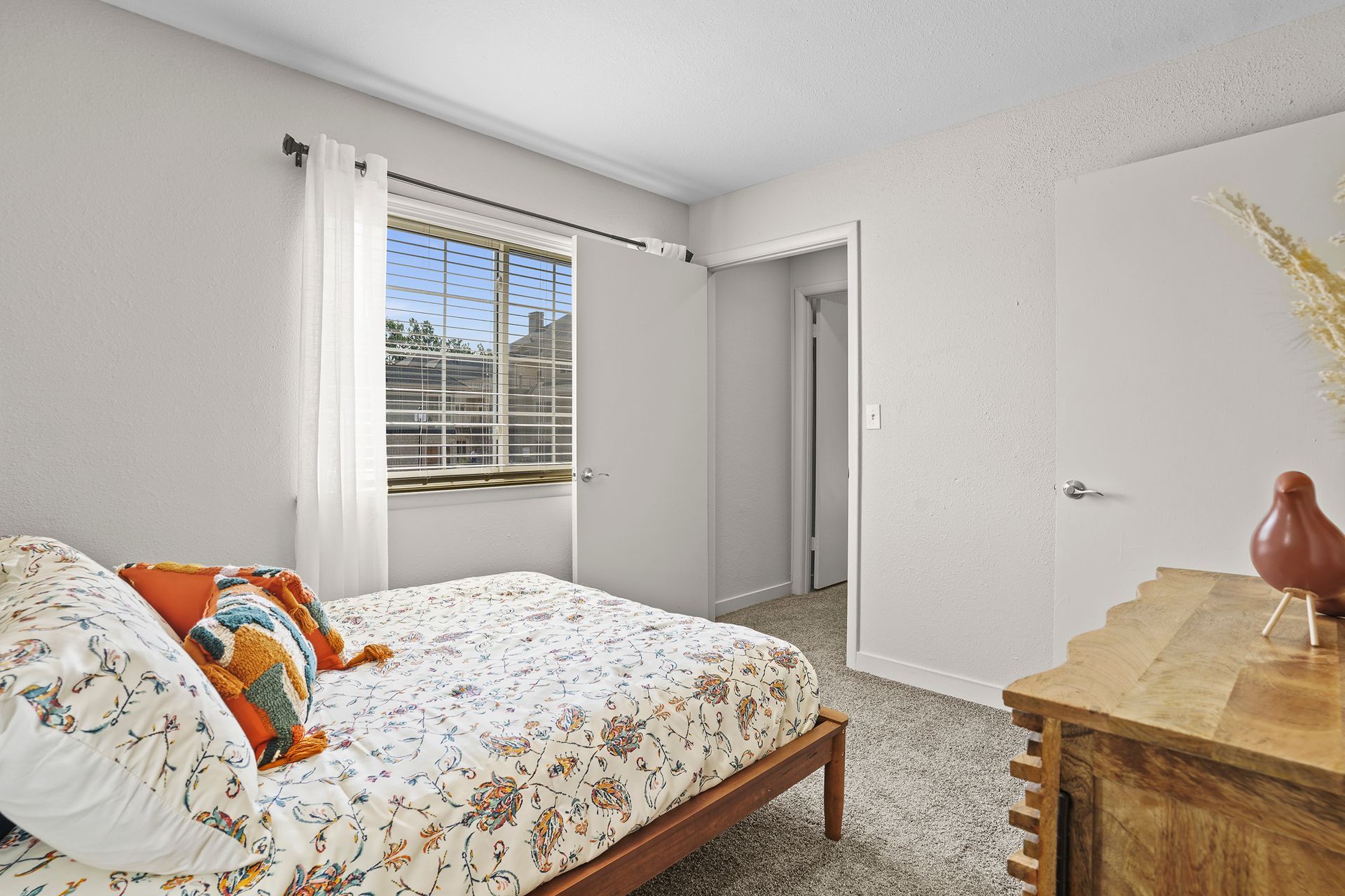 Discover Regency Point Apartments: Features & Amenities