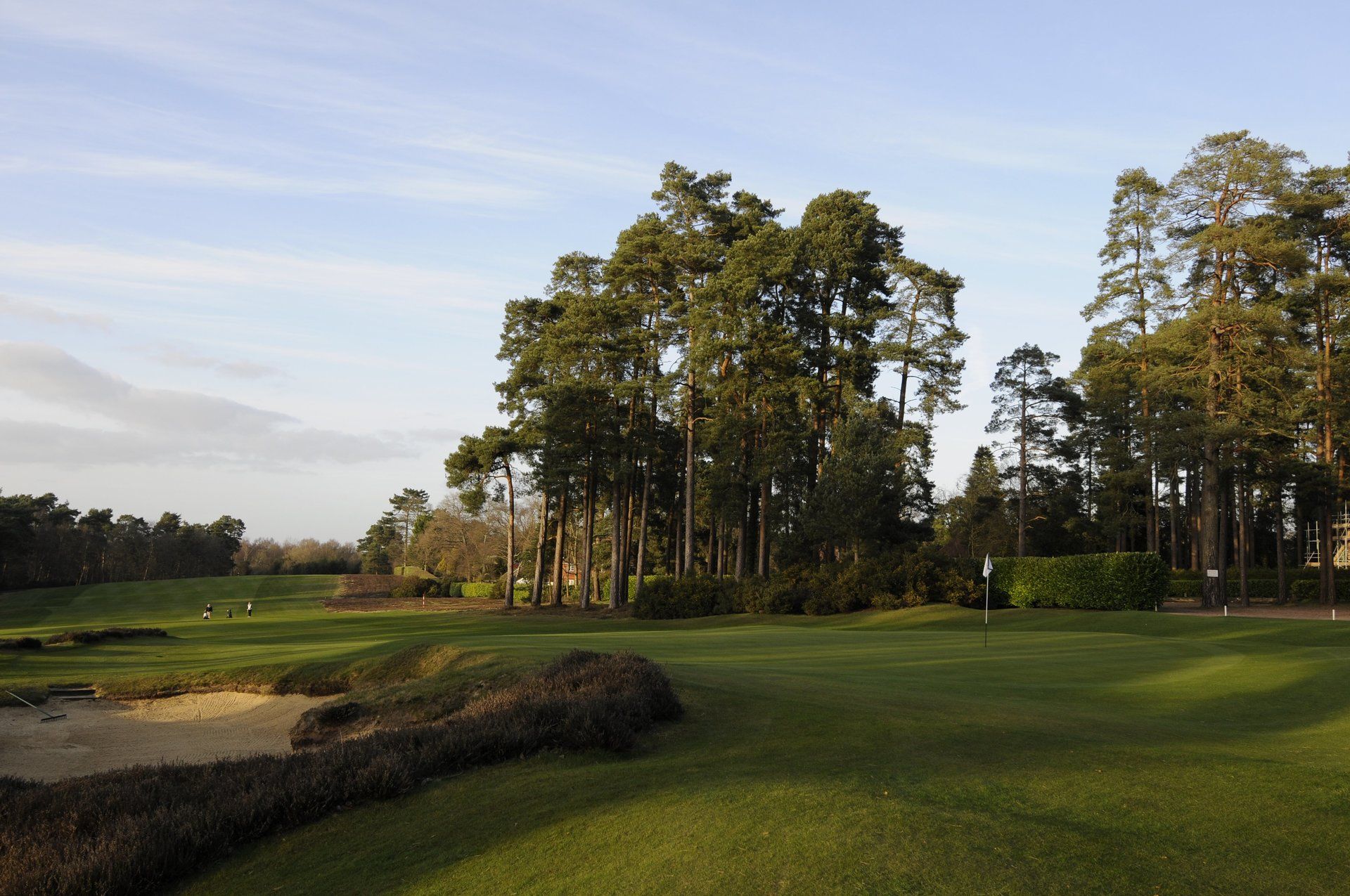 HOME [www.guildfordalliance.co.uk]