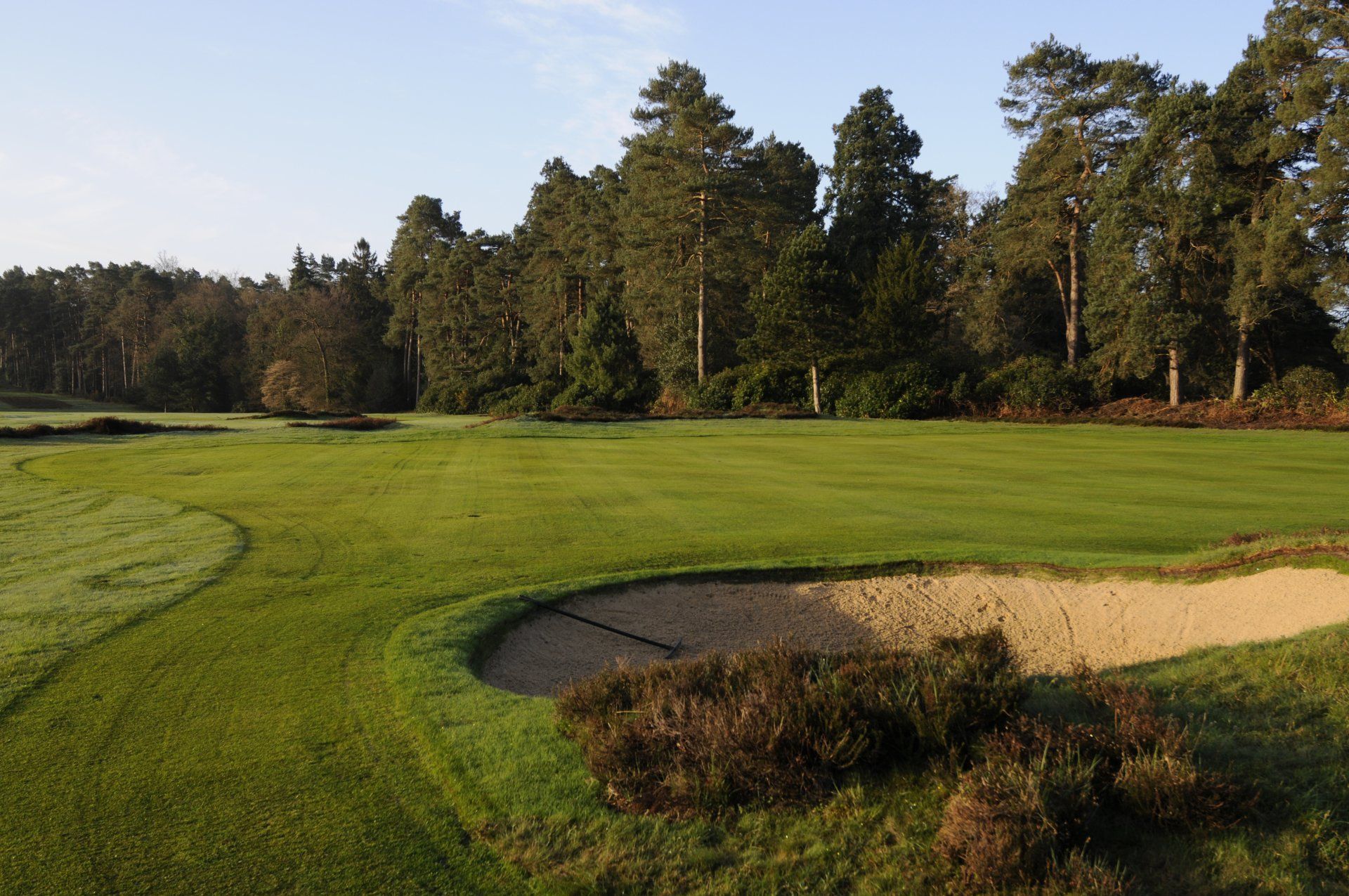 HOME [www.guildfordalliance.co.uk]