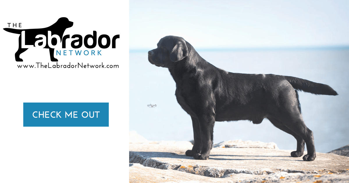 Hoffman's On My To Do List