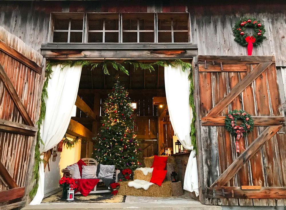 Holiday Photo in the Barn