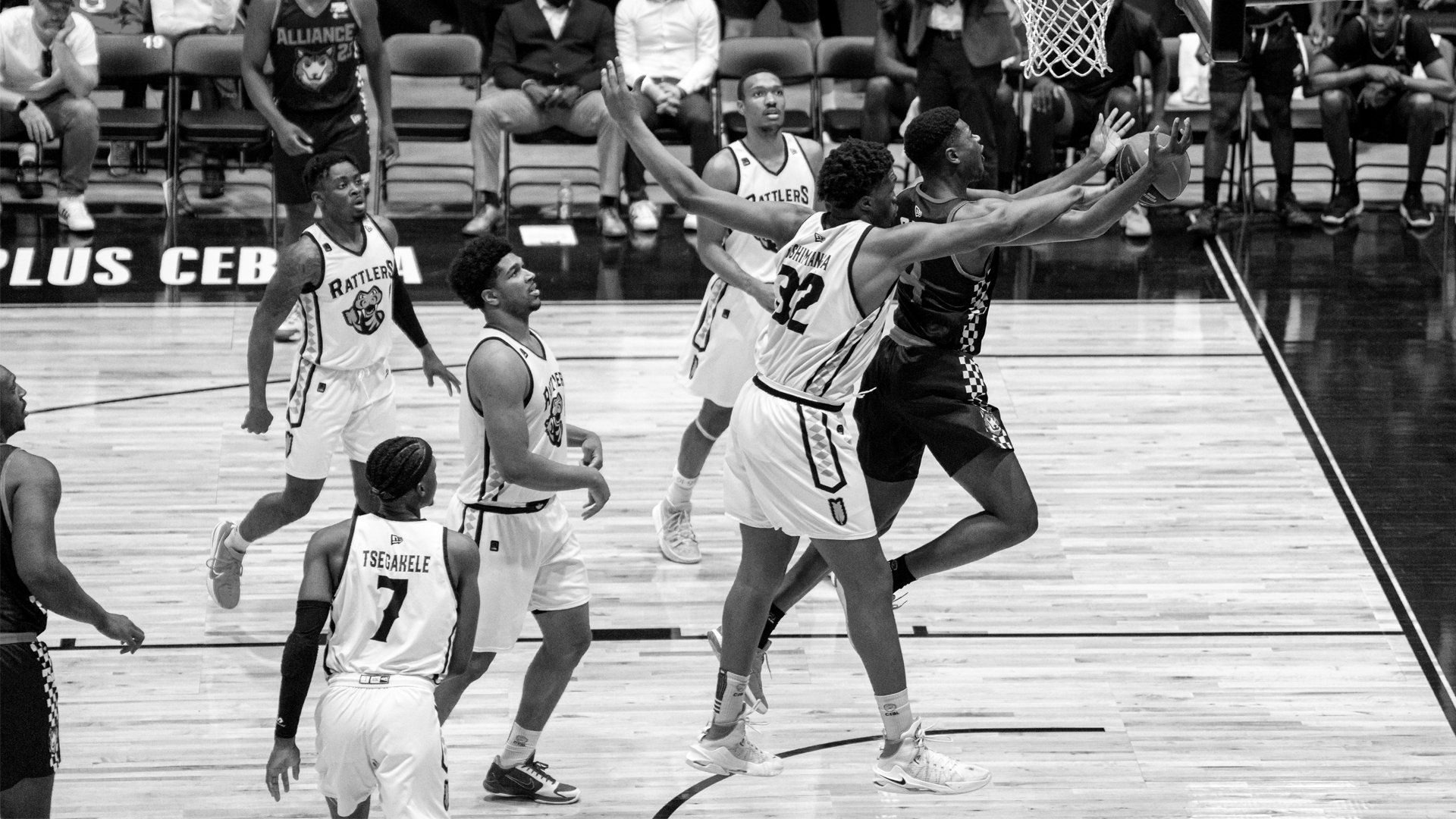 The Rattlers - Saskatchewan - Canadian Elite Basketball League (CEBL)