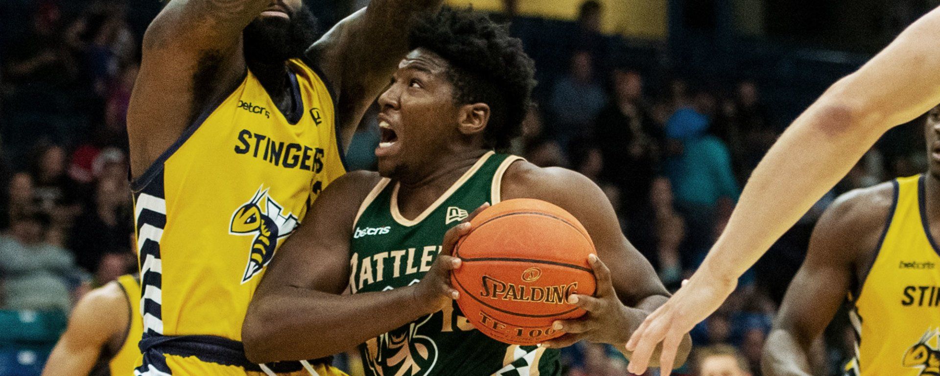 Home-and-Home Series for Saskatchewan Rattlers, Edmonton Stingers